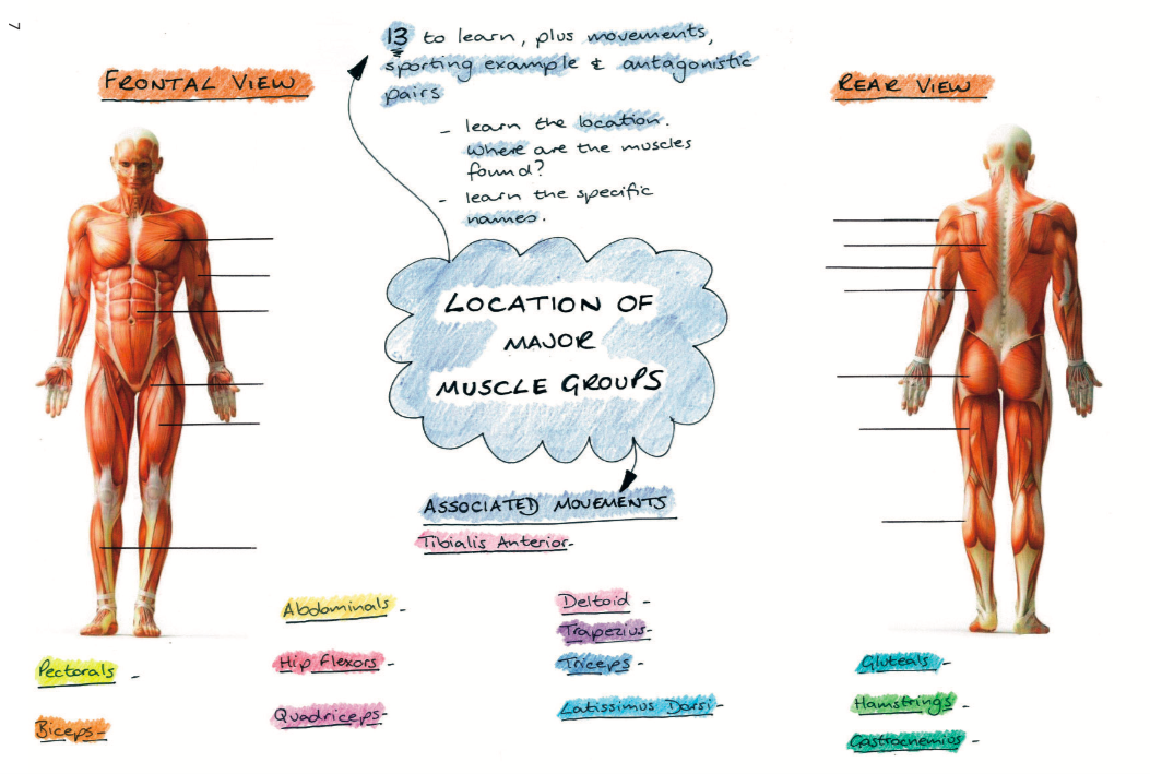 GCSE student checksheets | GCSE Simplified